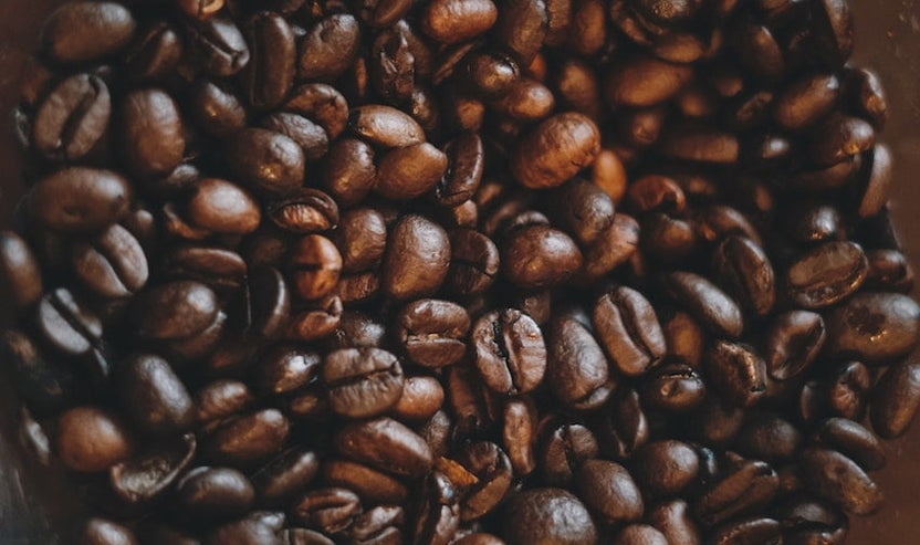 Ask the Experts: Whats a Panarello? | Seattle Coffee Gear