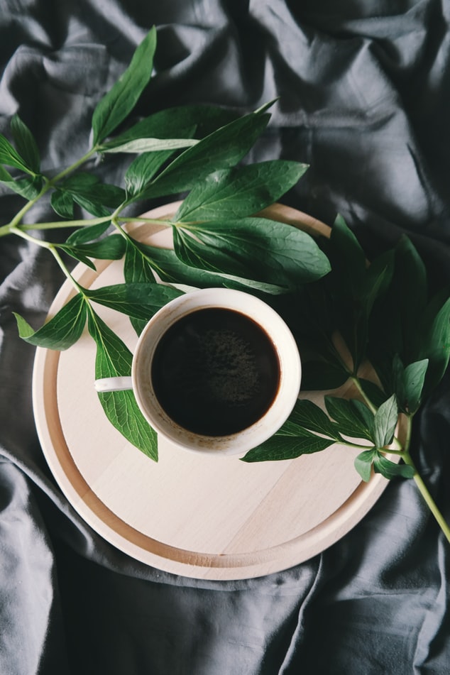 What Is Coffee Rust? | Seattle Coffee Gear