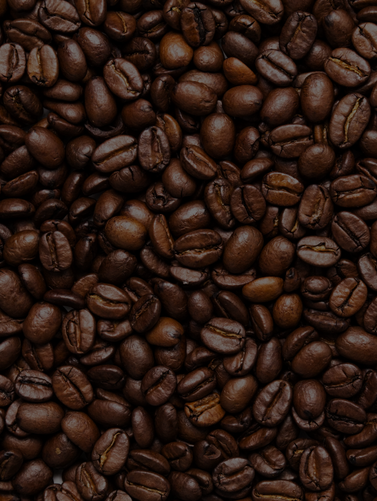 Top 3 Guide 2023 - SCG · Seattle Coffee Gear